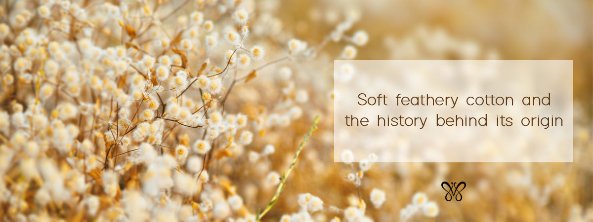Uncover the history behind the origin of cotton in India – MOLEDRO