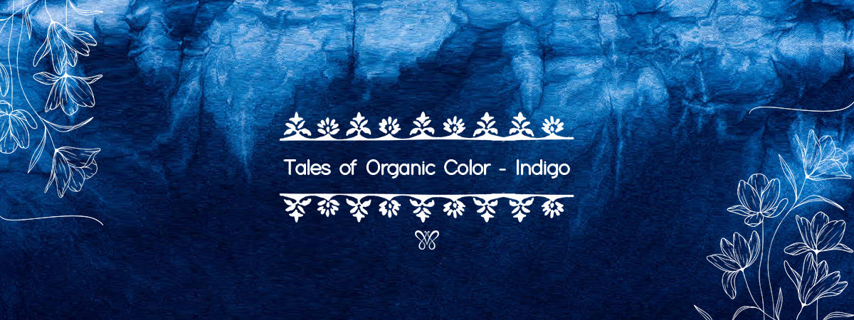 The Incredible Story of Indigo - A Natural dye in Human History! – MOLEDRO